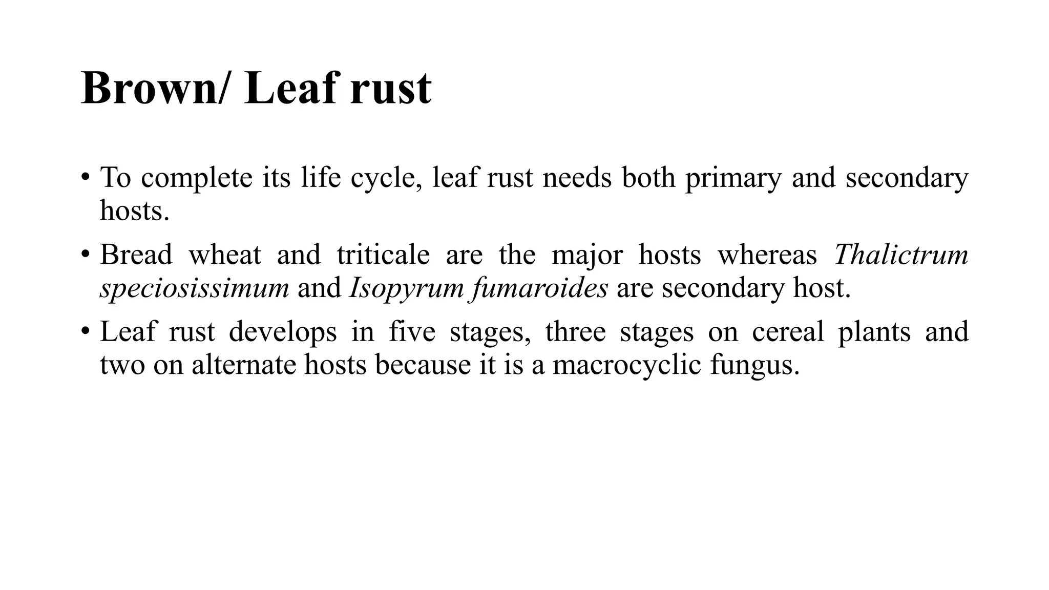 Wheat Rusts Management Strategies.pptx