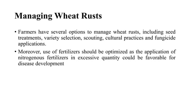 Wheat Rusts Management Strategies.pptx