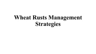 Wheat Rusts Management Strategies.pptx
