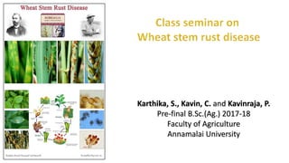 Wheat stem rust | PPTX