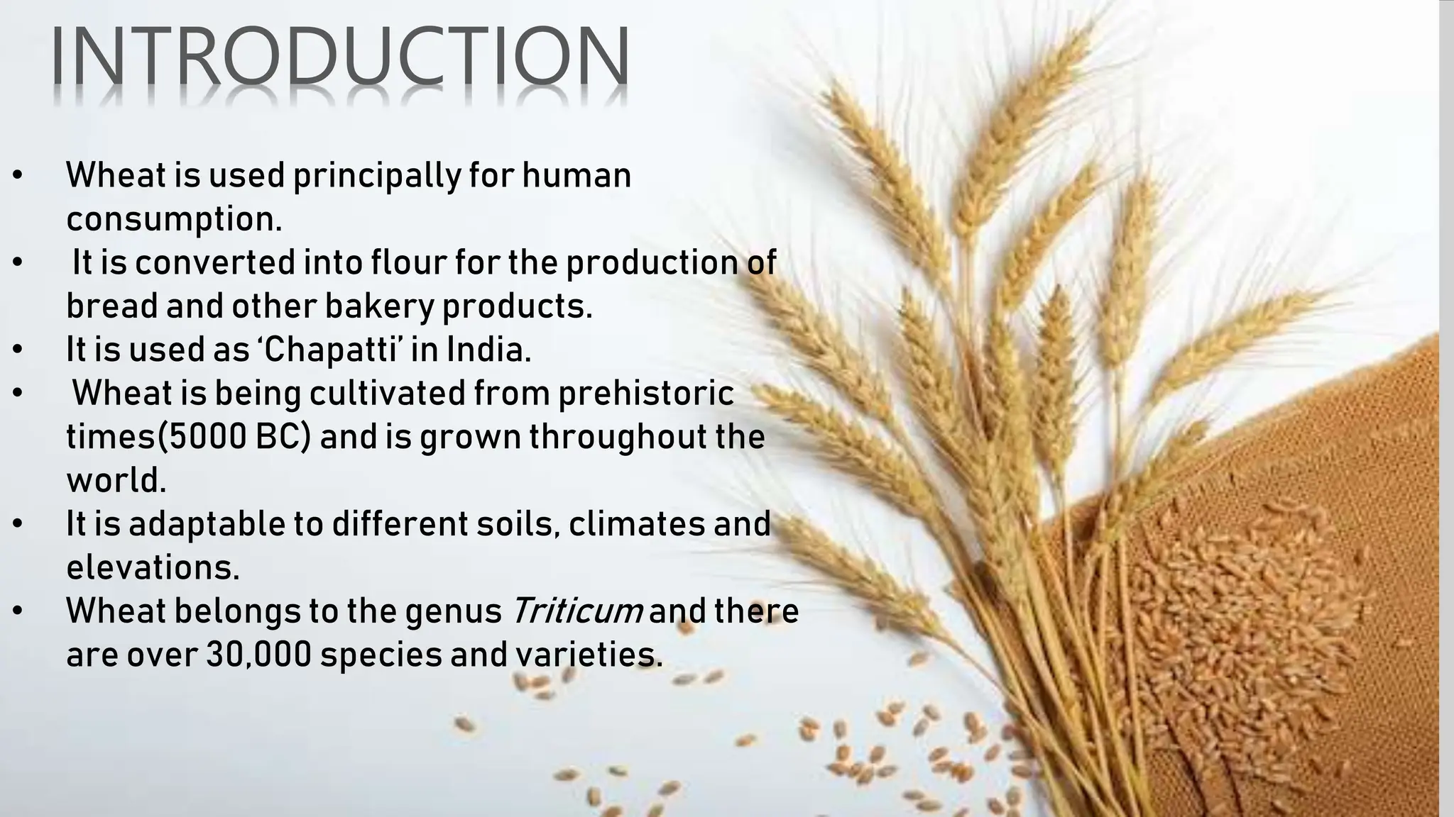 Wheat structure and composition nn_053717.pptx