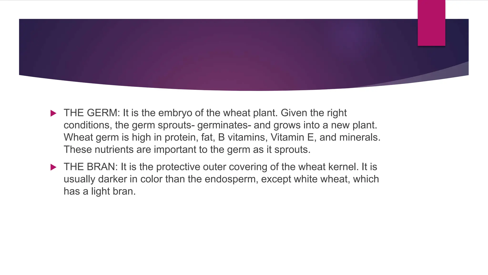 Wheat structure and composition nn_053717.pptx