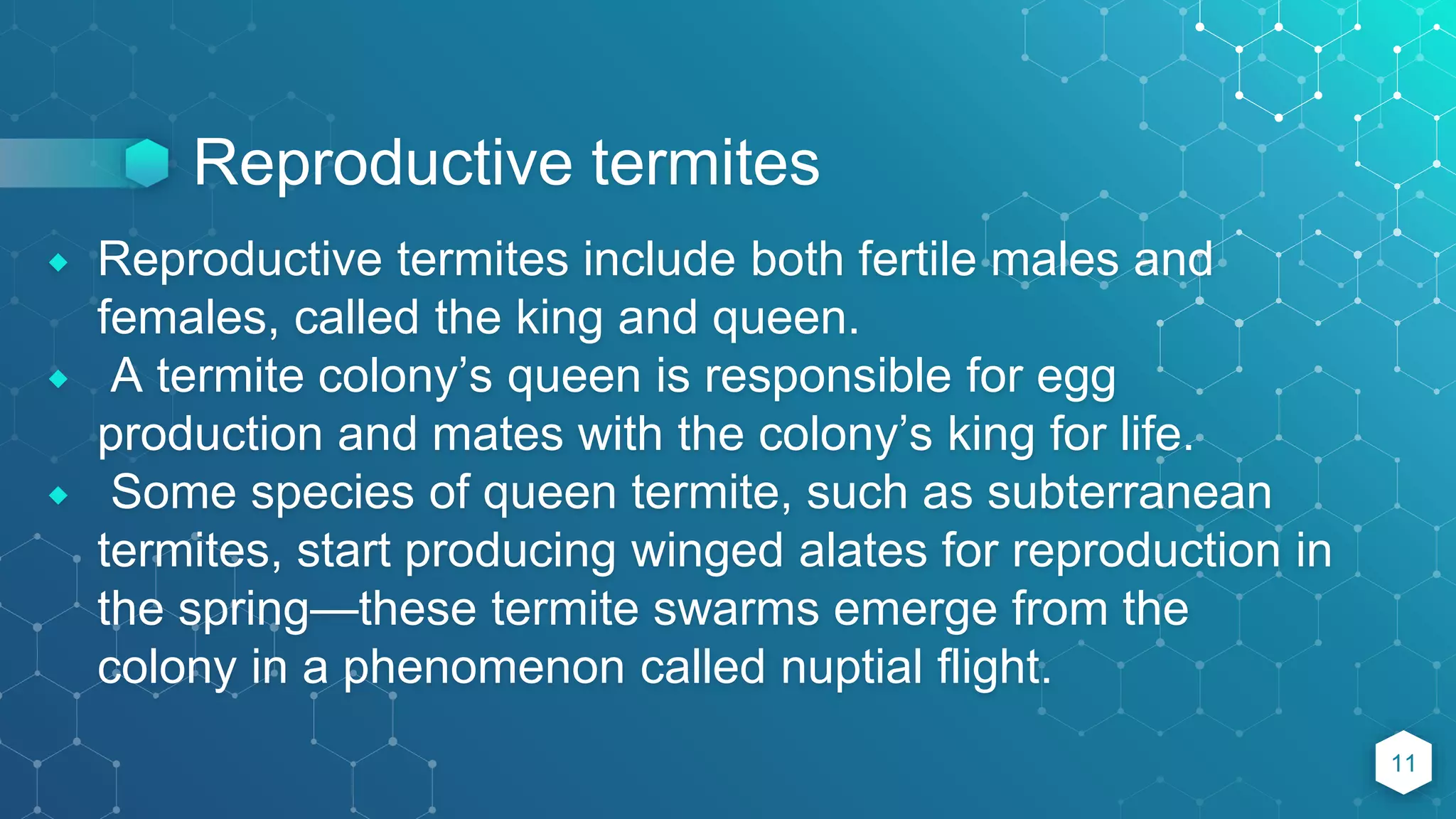 Wheat termites - Distribution ,host Range ,life cycle ,types , damage ...