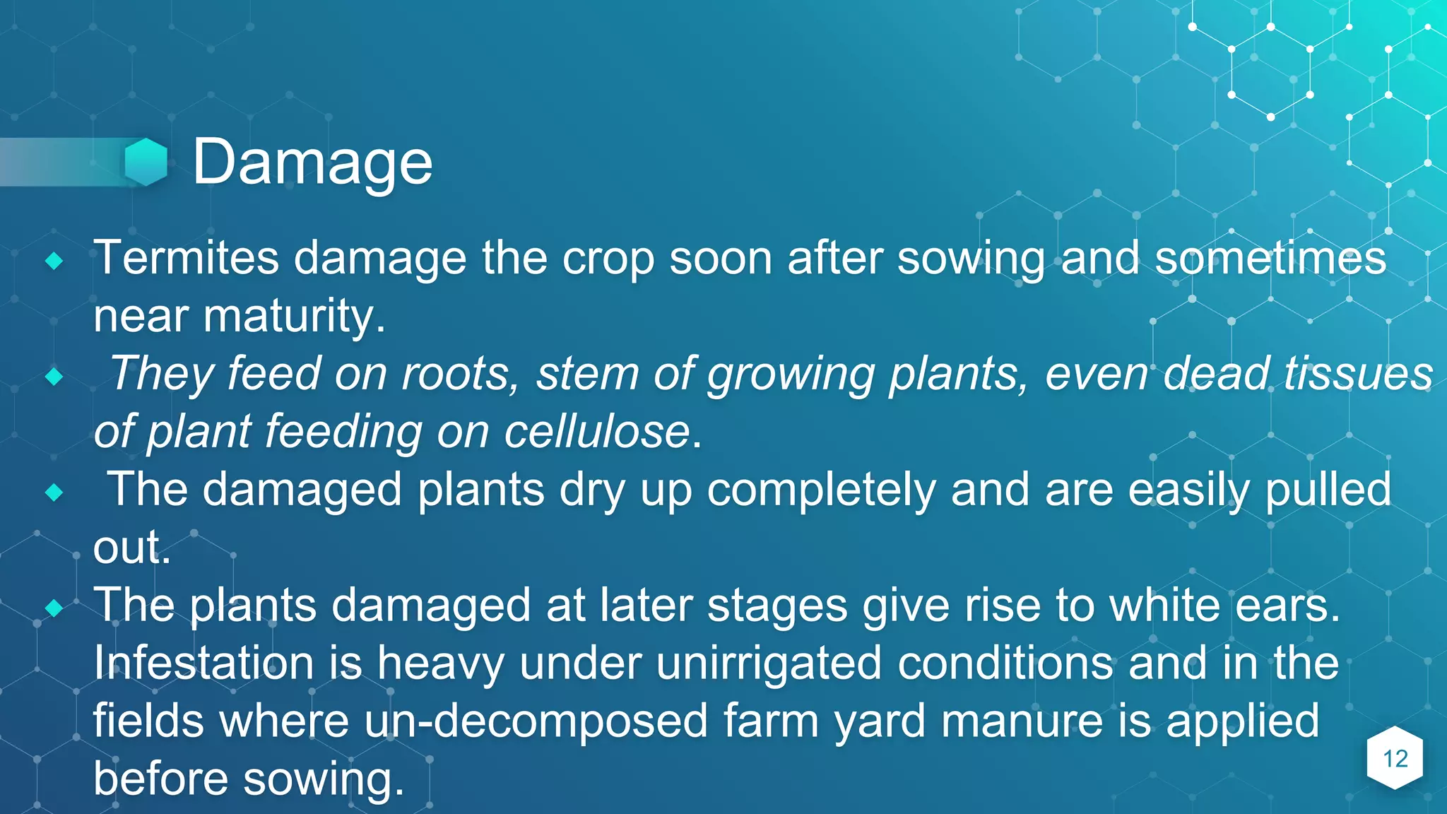 Wheat termites - Distribution ,host Range ,life cycle ,types , damage ...