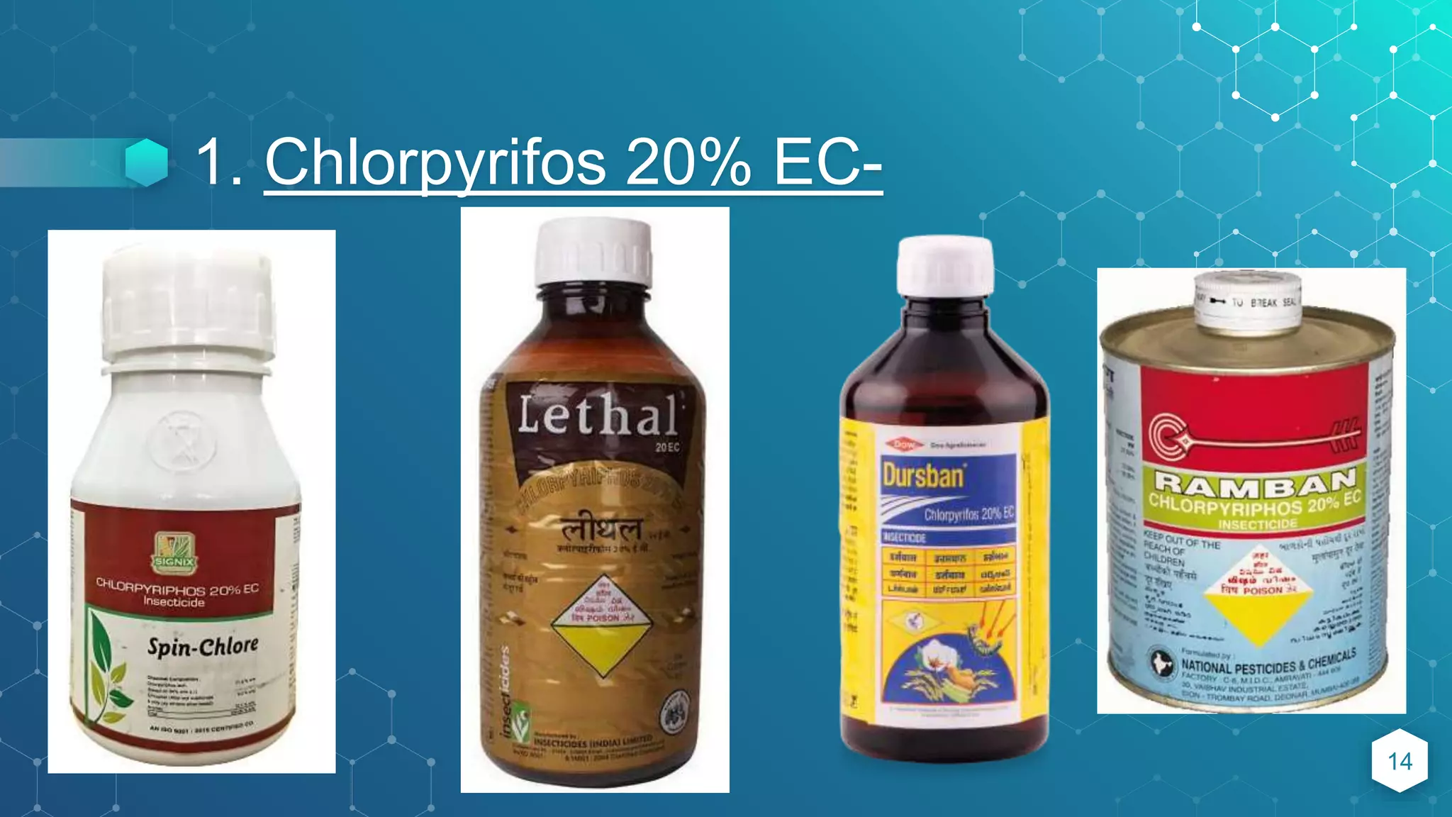 Wheat termites - Distribution ,host Range ,life cycle ,types , damage ...