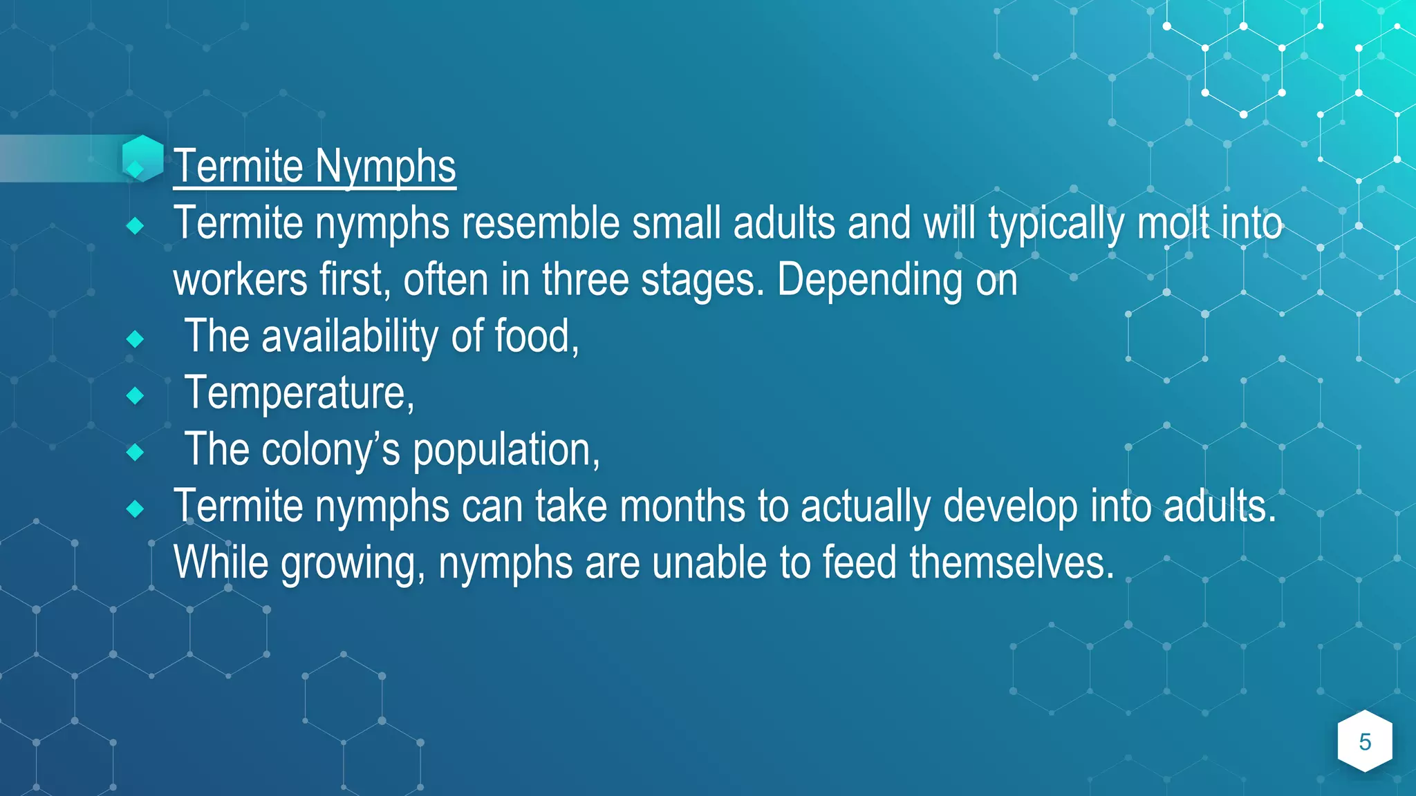 Wheat termites - Distribution ,host Range ,life cycle ,types , damage ...