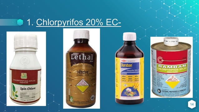 Wheat termites - Distribution ,host Range ,life cycle ,types , damage ...
