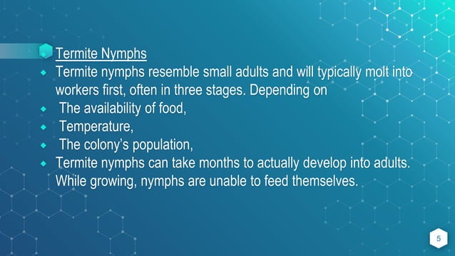 Wheat termites - Distribution ,host Range ,life cycle ,types , damage ...