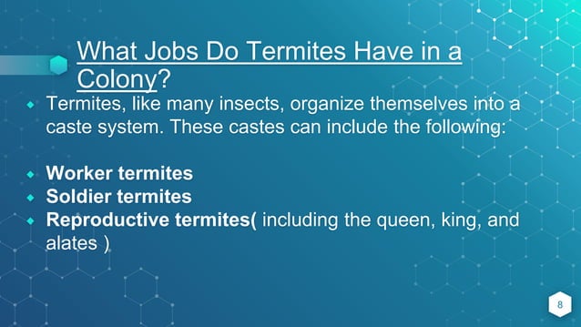 Wheat termites - Distribution ,host Range ,life cycle ,types , damage ...