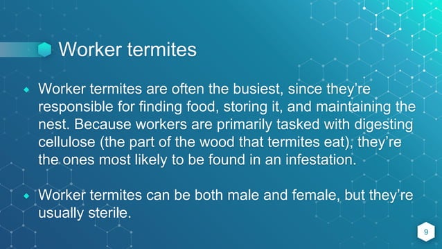 Wheat termites - Distribution ,host Range ,life cycle ,types , damage ...
