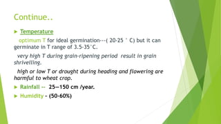 Wheat crop , package of practice by Mehboob latief. | PPTX