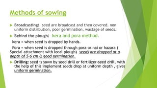 Wheat crop , package of practice by Mehboob latief. | PPTX