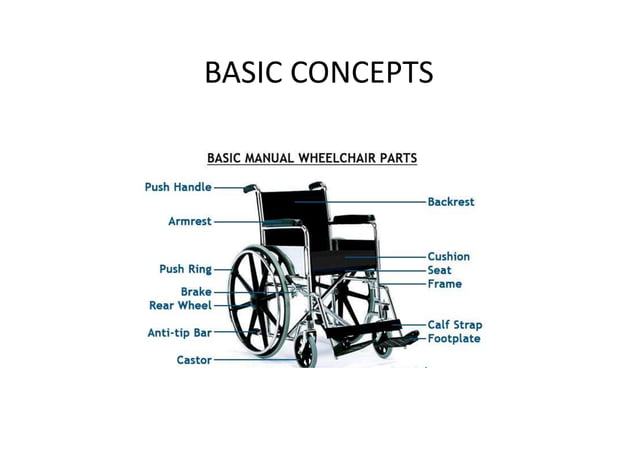 Wheelchairs - Types and Parts | PDF | Physical Therapy | Wellness