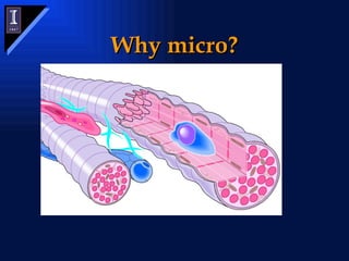 Wheeler | PPT | Physics | Science