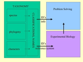 Quentin D. Wheeler - ZooBank and the Taxonomic Renaissance | PPT