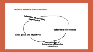 Wheeler Model of Curriculum Development | PDF | Primary Education ...