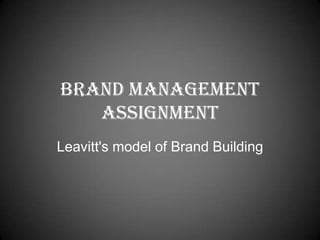 Levitts Brand Building Model | PPTX