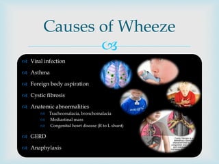 Wheeze | PPTX