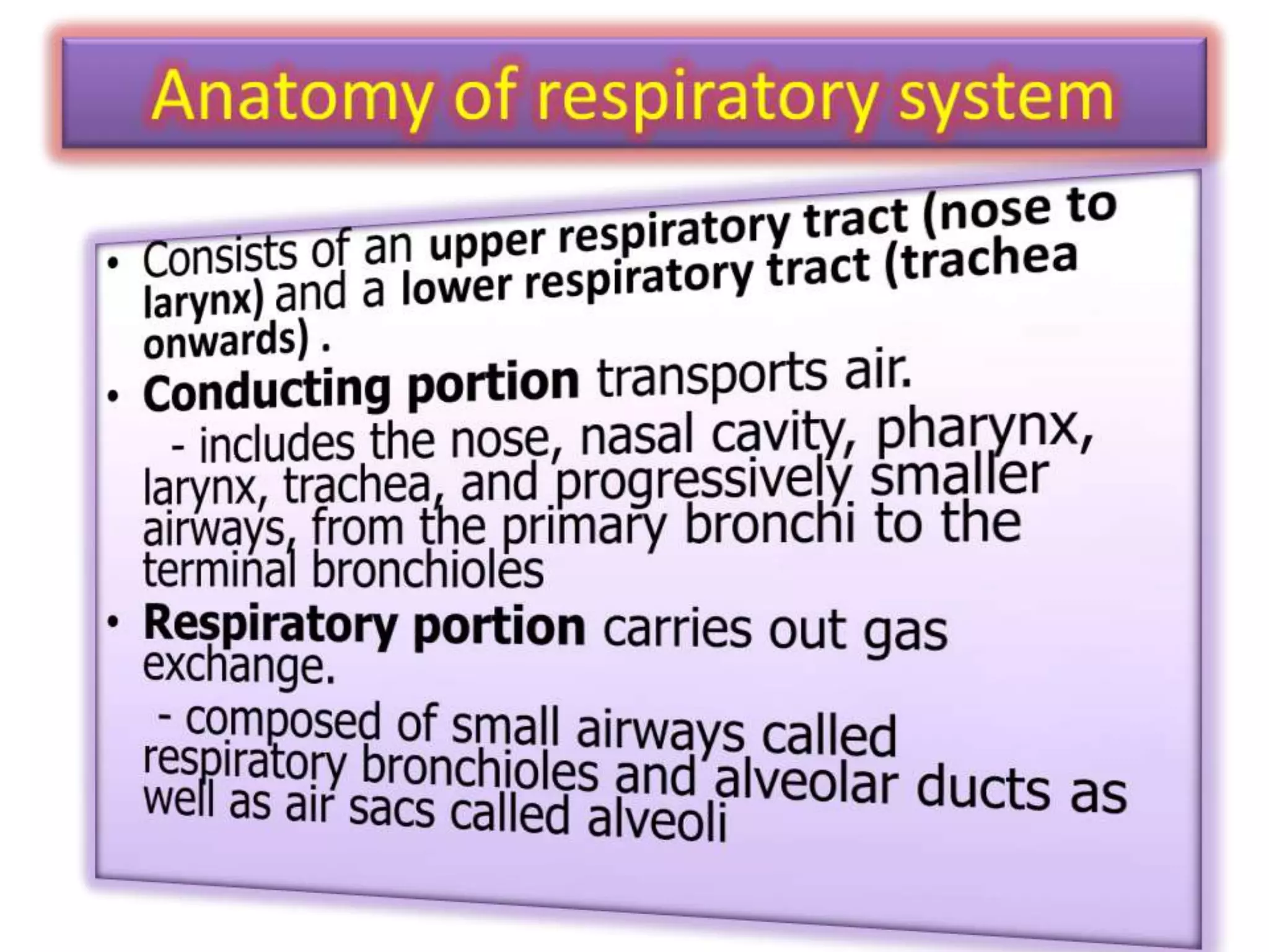 Wheezing and noisy breathing seminar | PPTX