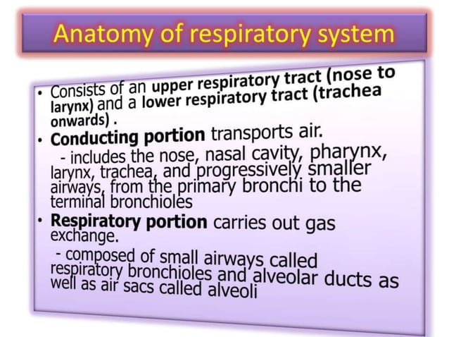 Wheezing and noisy breathing seminar | PPTX