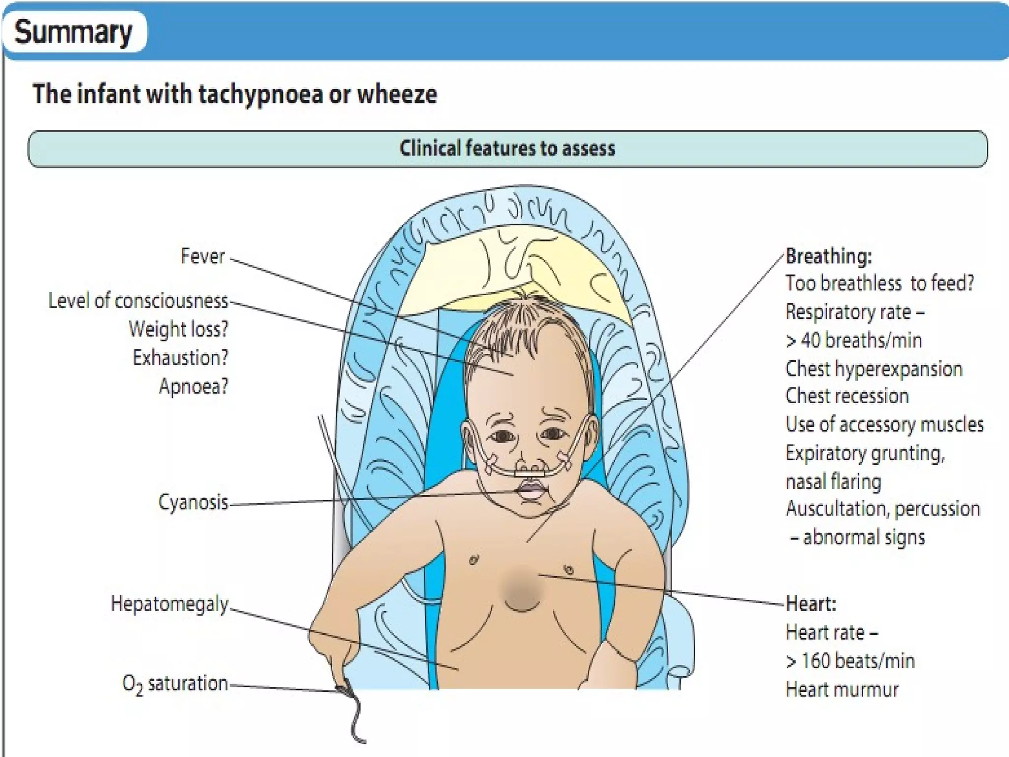 Wheezy chest in pediatrics | PPT
