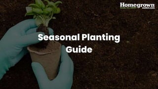 When is The Best Time to Plant A Garden? | PDF
