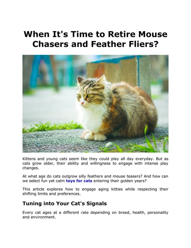 When It's Time to Retire Mouse Chasers and Feather Fliers.docx