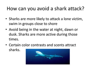 When sharks attack | PPTX