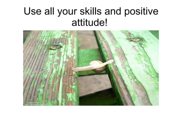 Learning Perseverance From A Snail | PPT