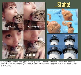 Human Stahp Grumpy Cat