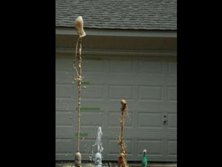 When time stopped | PPT