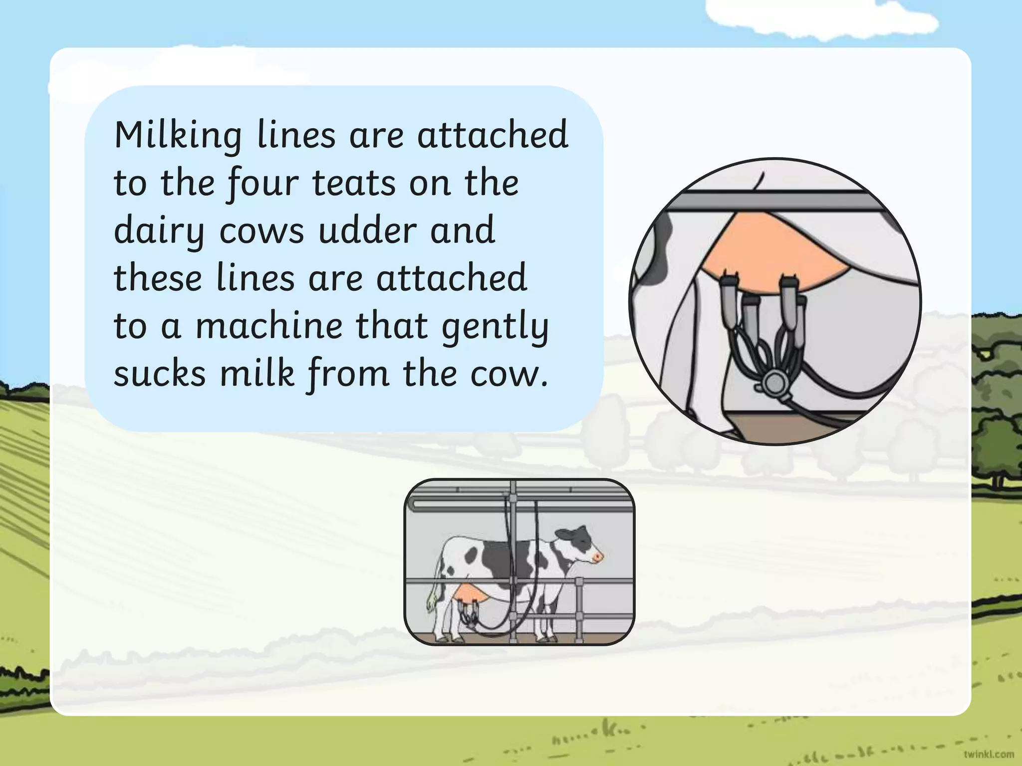 Where-Does-Milk-Come-From-PowerPoint.ppt