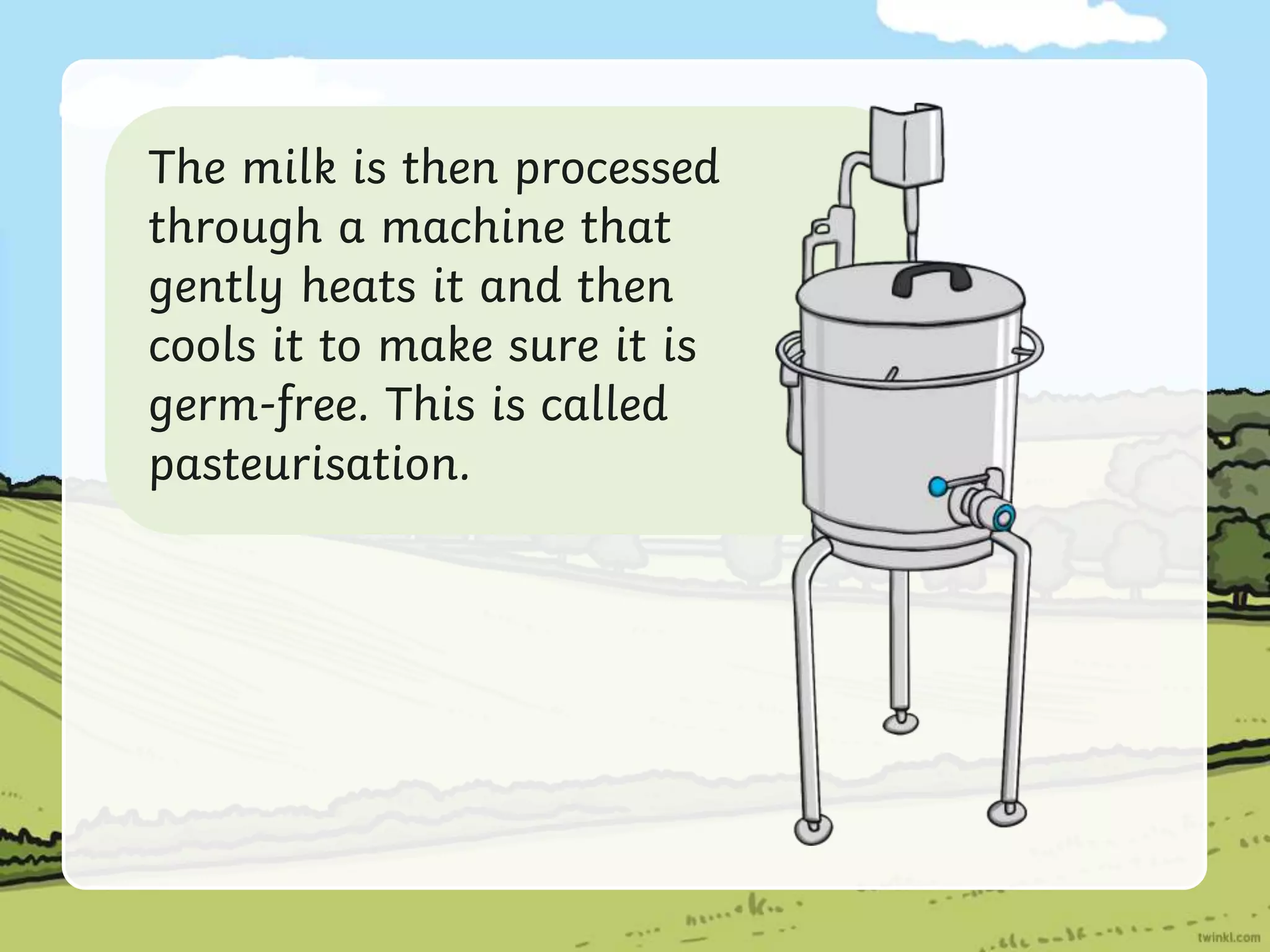 Where-Does-Milk-Come-From-PowerPoint.ppt
