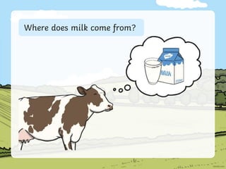 Where Does Your Milk Go? _ How Much Milk From Farm To Table – PCETSK