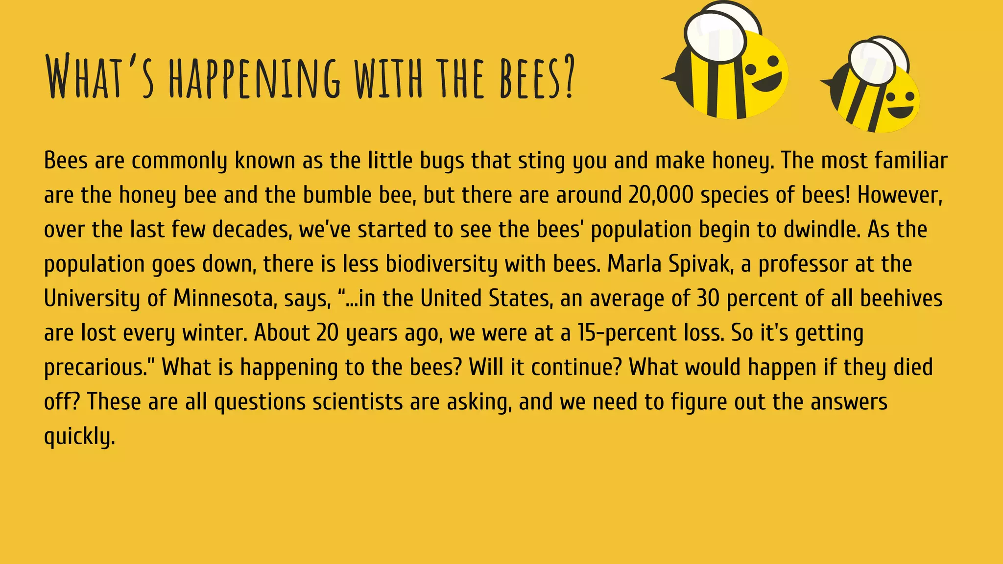 Where are the bees going? (Maddy Cheney) | PDF