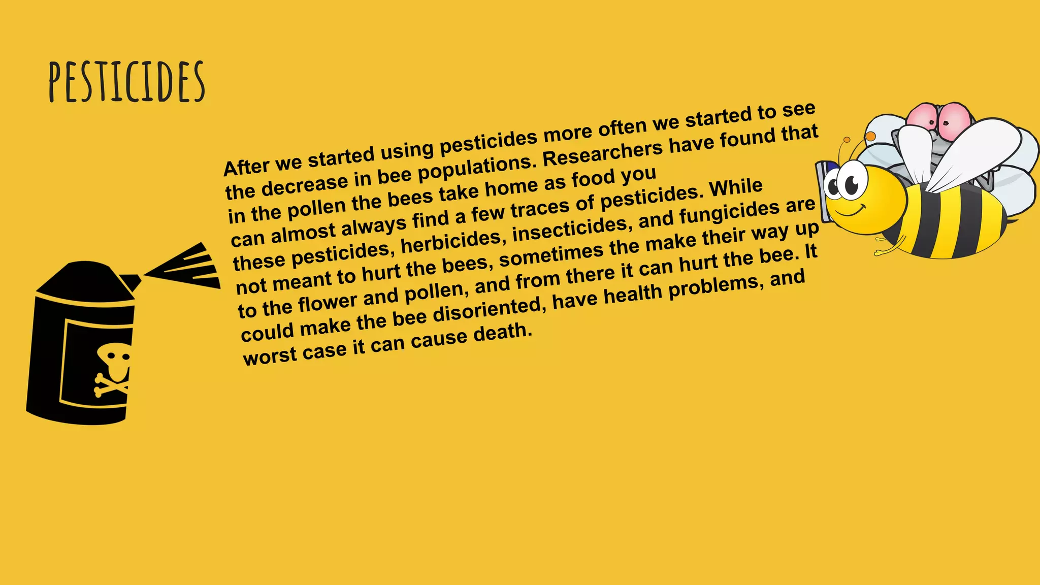 Where are the bees going? (Maddy Cheney) | PDF
