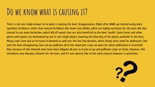 Where are the bees going? (Maddy Cheney) | PDF