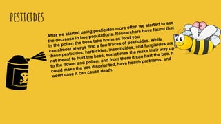 Where are the bees going? (Maddy Cheney) | PDF