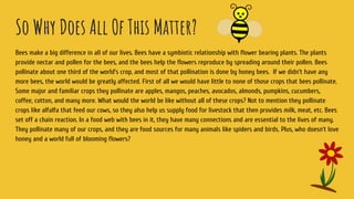 Where are the bees going? (Maddy Cheney) | PDF