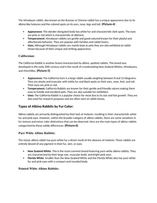 Where do Albino Rabbits Come From: Origins of Albino Rabbits | PDF