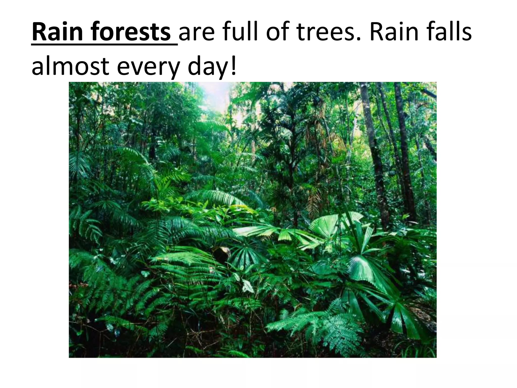 Where do animals live | PPT