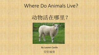Where Do Animals Live | PPTX