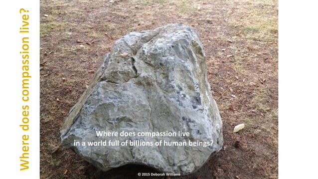 Where does compassion live? | PDF