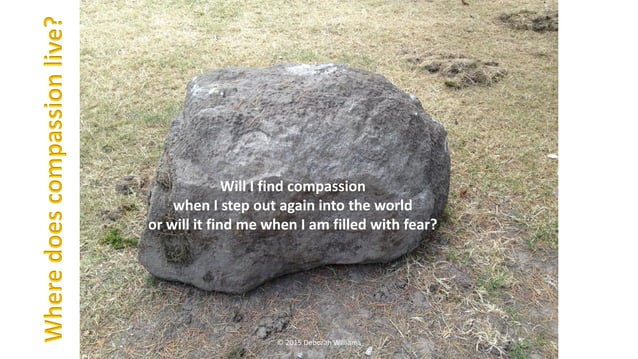 Where does compassion live? | PDF