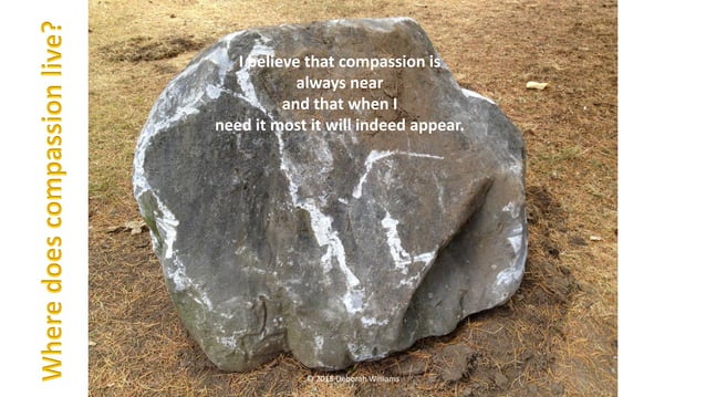 Where does compassion live? | PDF