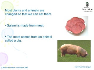 Where does food come from | PPT