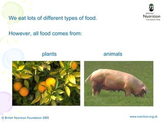 Where does food come from | PPT