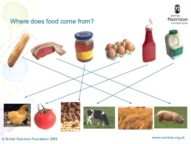 Where does food come from