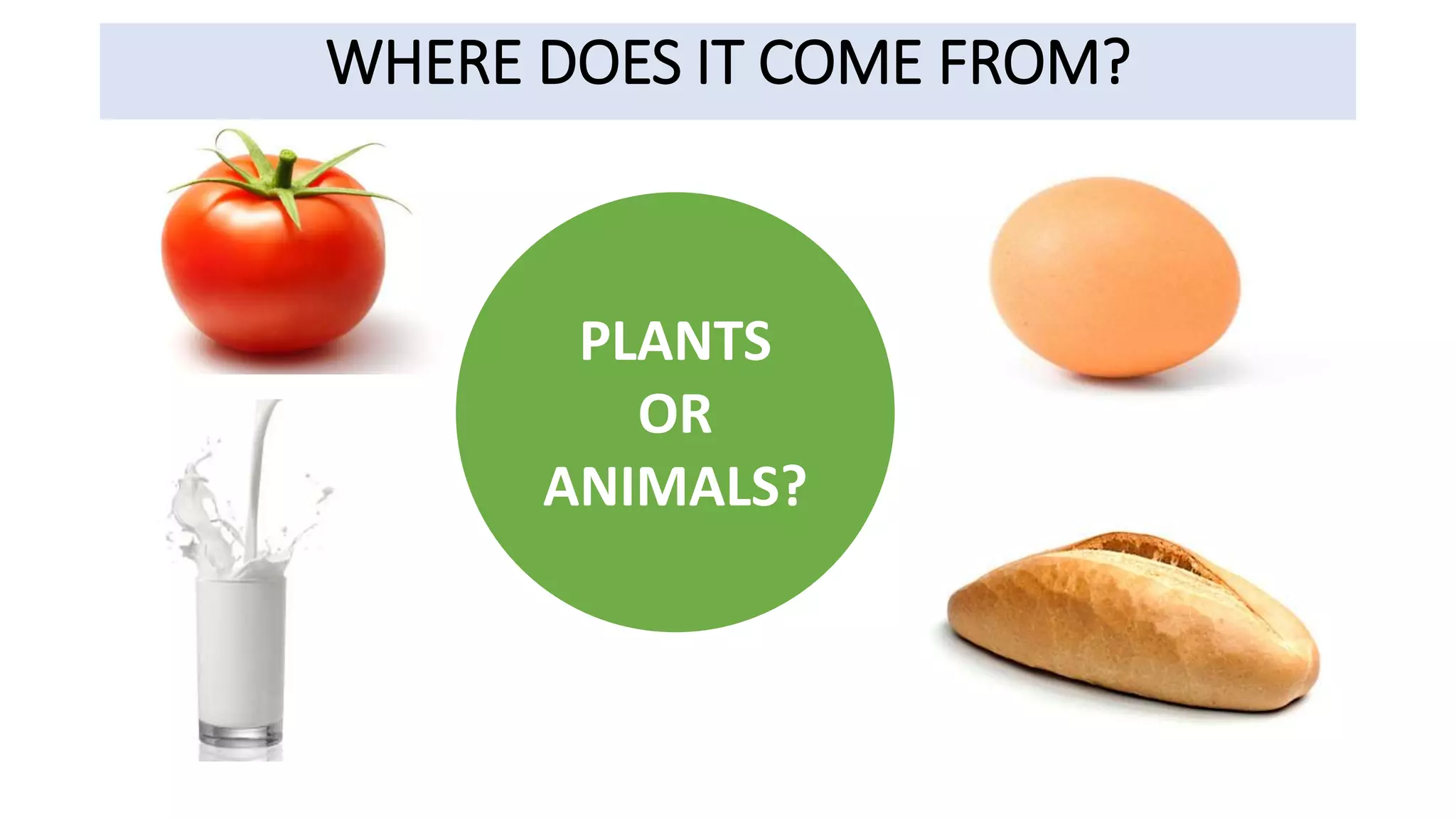 Where does food come from | PPTX