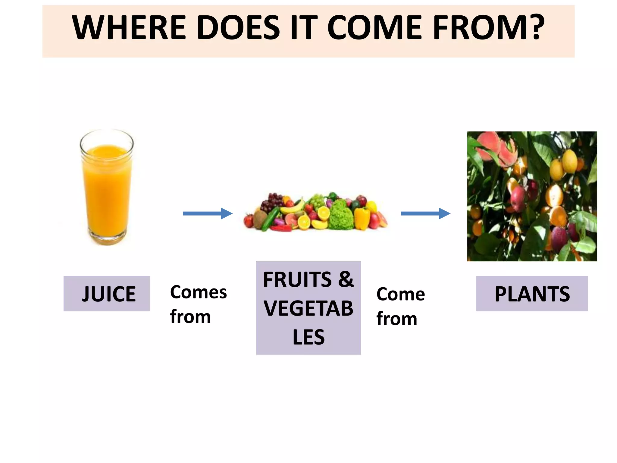 Where does food_come_from | PPTX